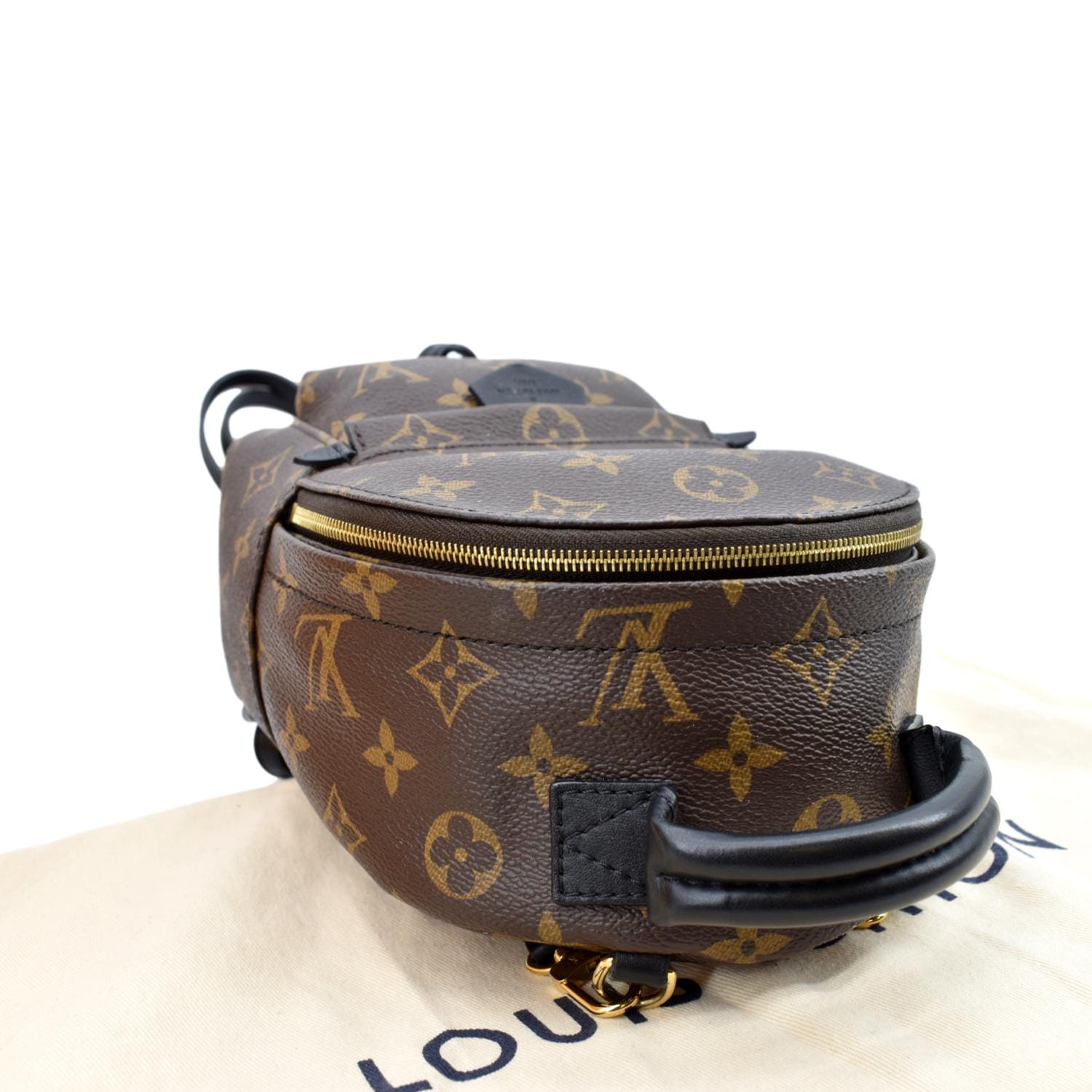 LOUIS VUITTON Palm Springs Mini Monogram Canvas Backpack Brown