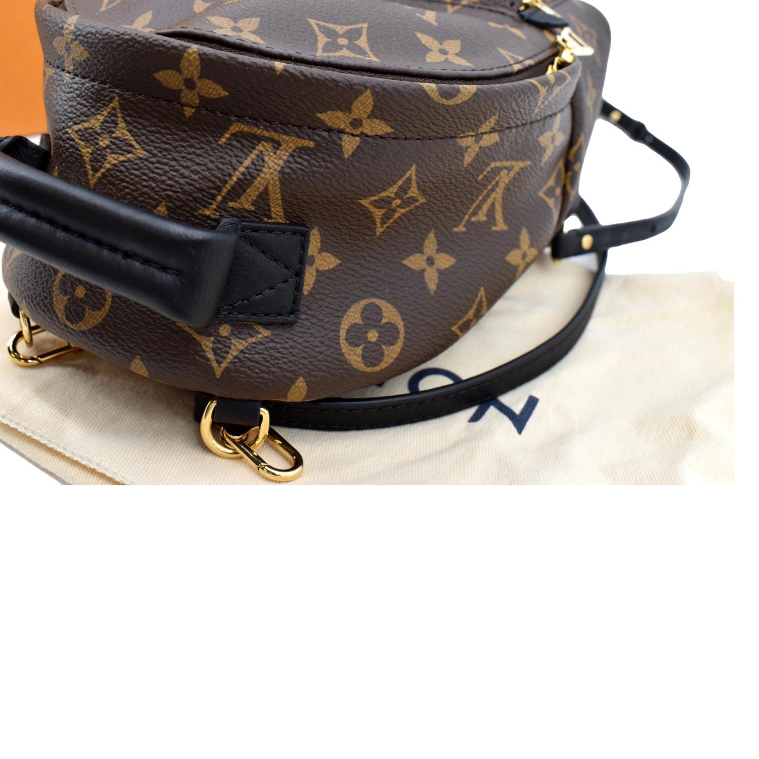 LOUIS VUITTON Palm Springs Mini Monogram Canvas Backpack Brown