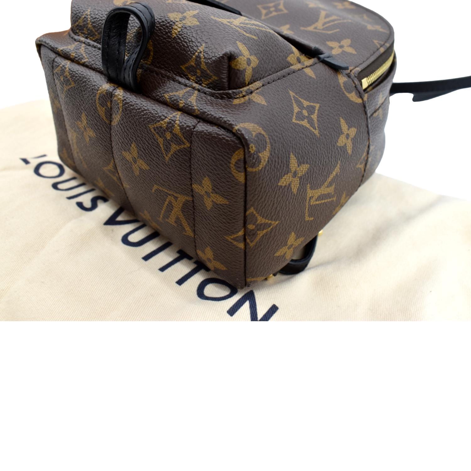 LOUIS VUITTON Palm Springs Mini Monogram Canvas Backpack Brown