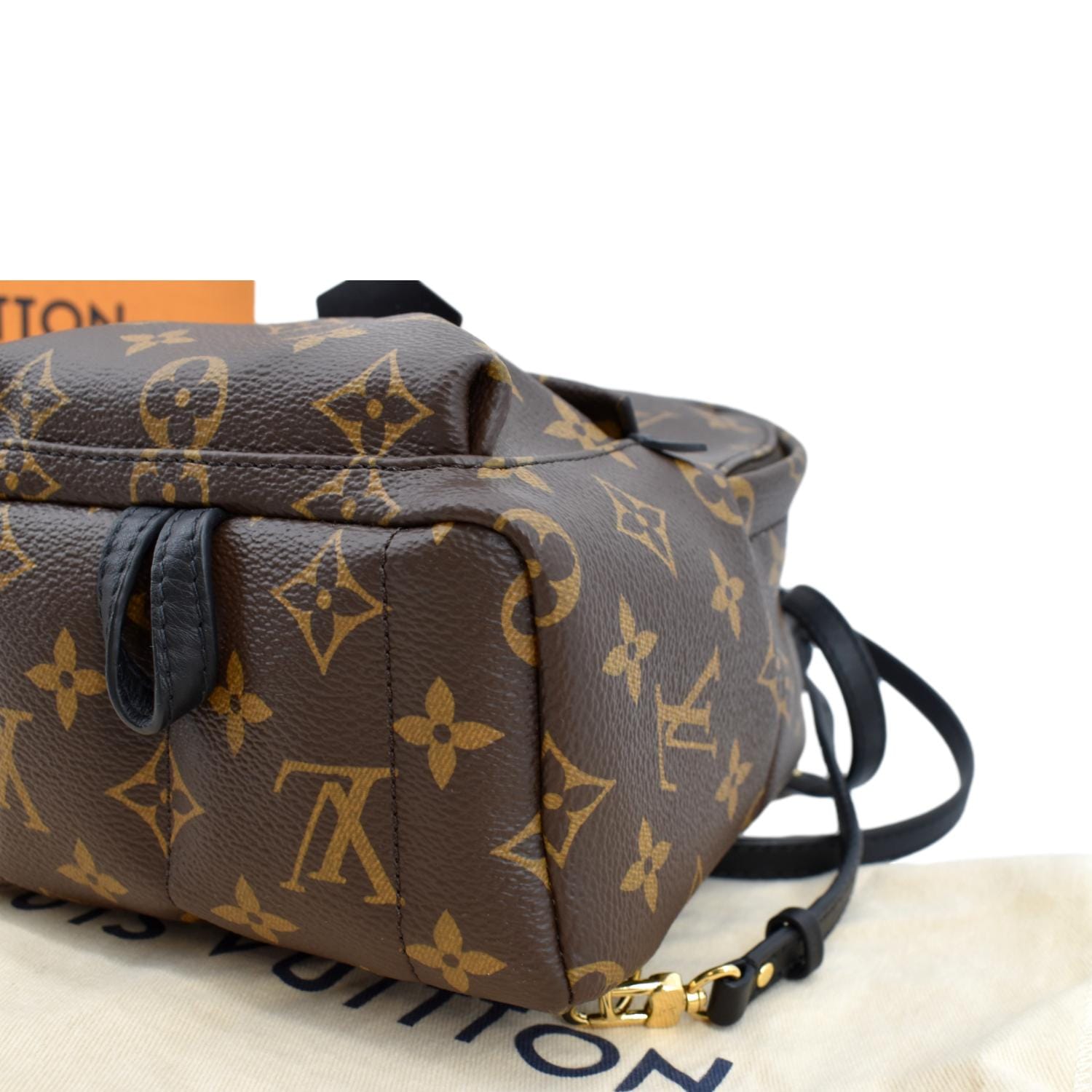 LOUIS VUITTON Palm Springs Mini Monogram Canvas Backpack Brown